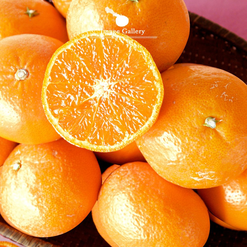 カラマンダリン｜Kara Mandarin | 和歌山有田より温州みかんをはじめ、かんきつの生産、加工、販売 柑橘の専門店 | 和歌山県有田の伊藤農園